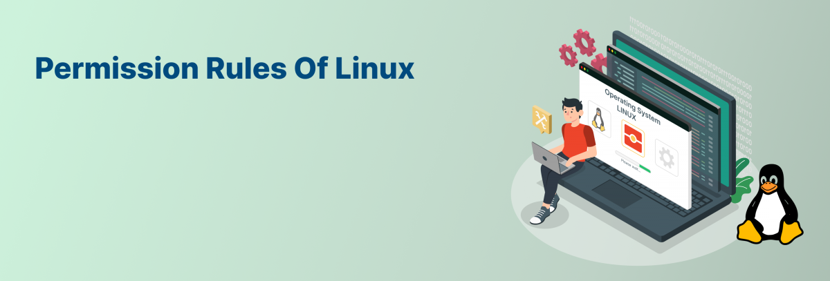 Understanding Linux Permissions: A Basic Guide - Anyhow Infosystems